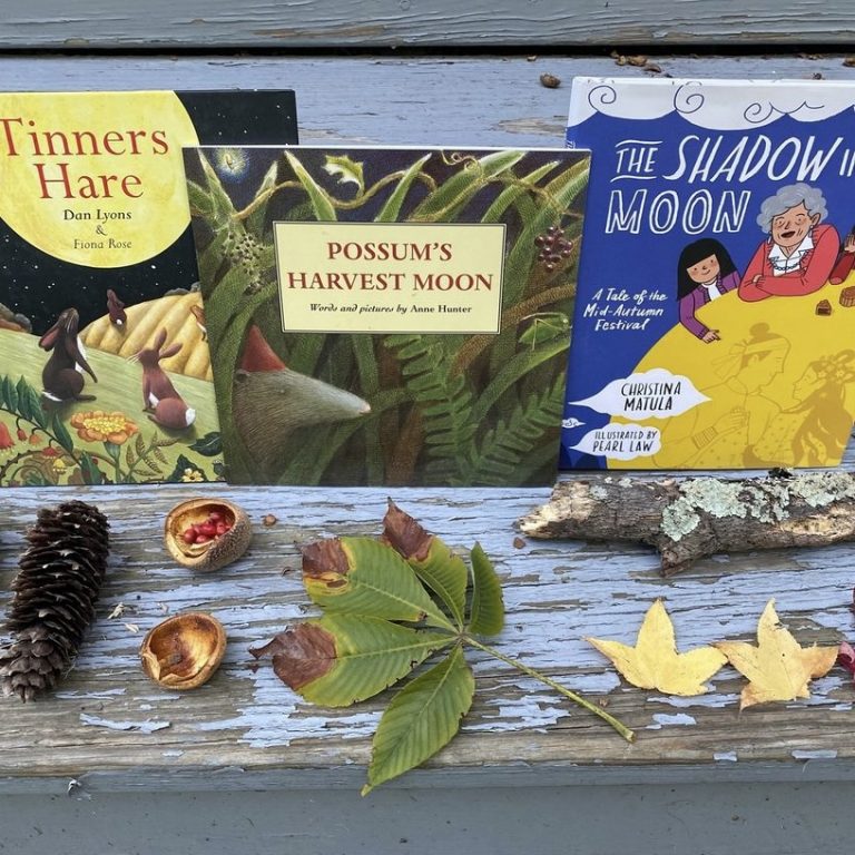 Harvest Moon Celebration – Phlox Architect