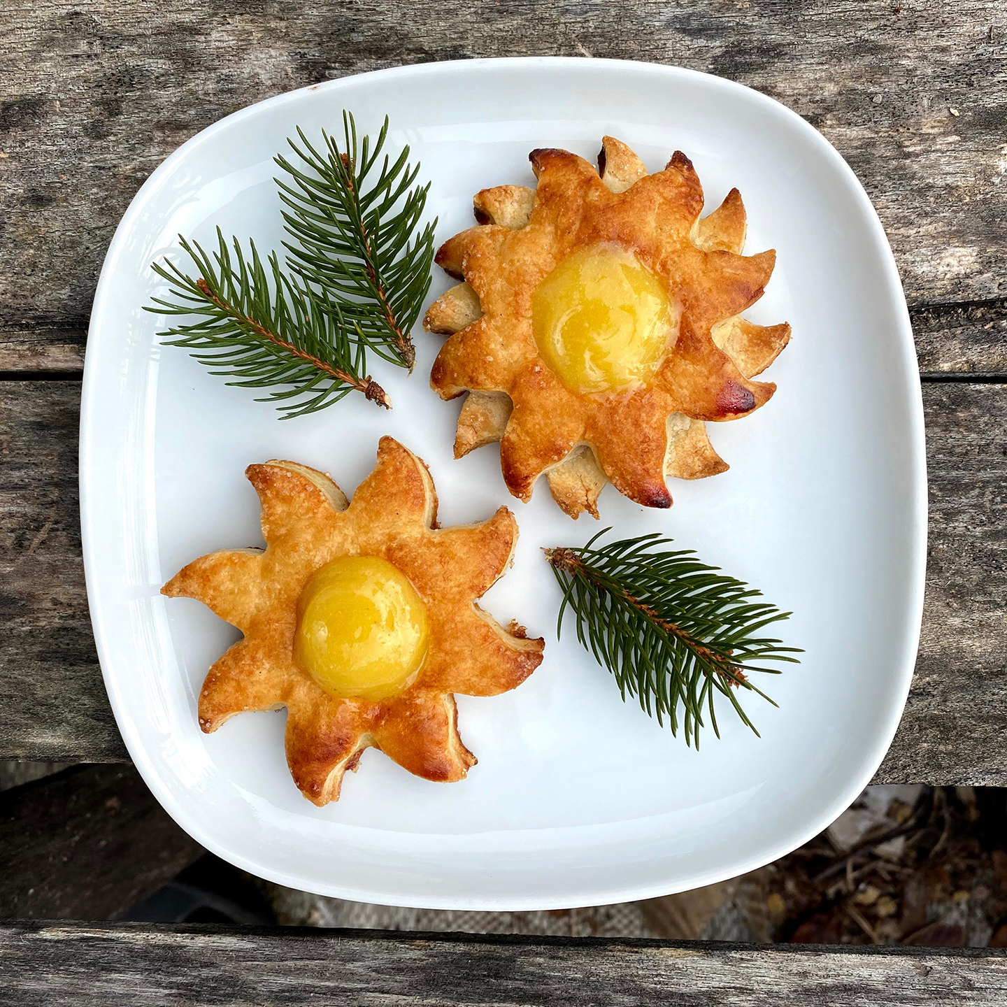 Magical Winter Solstice Rituals & Traditions – Phlox Architect