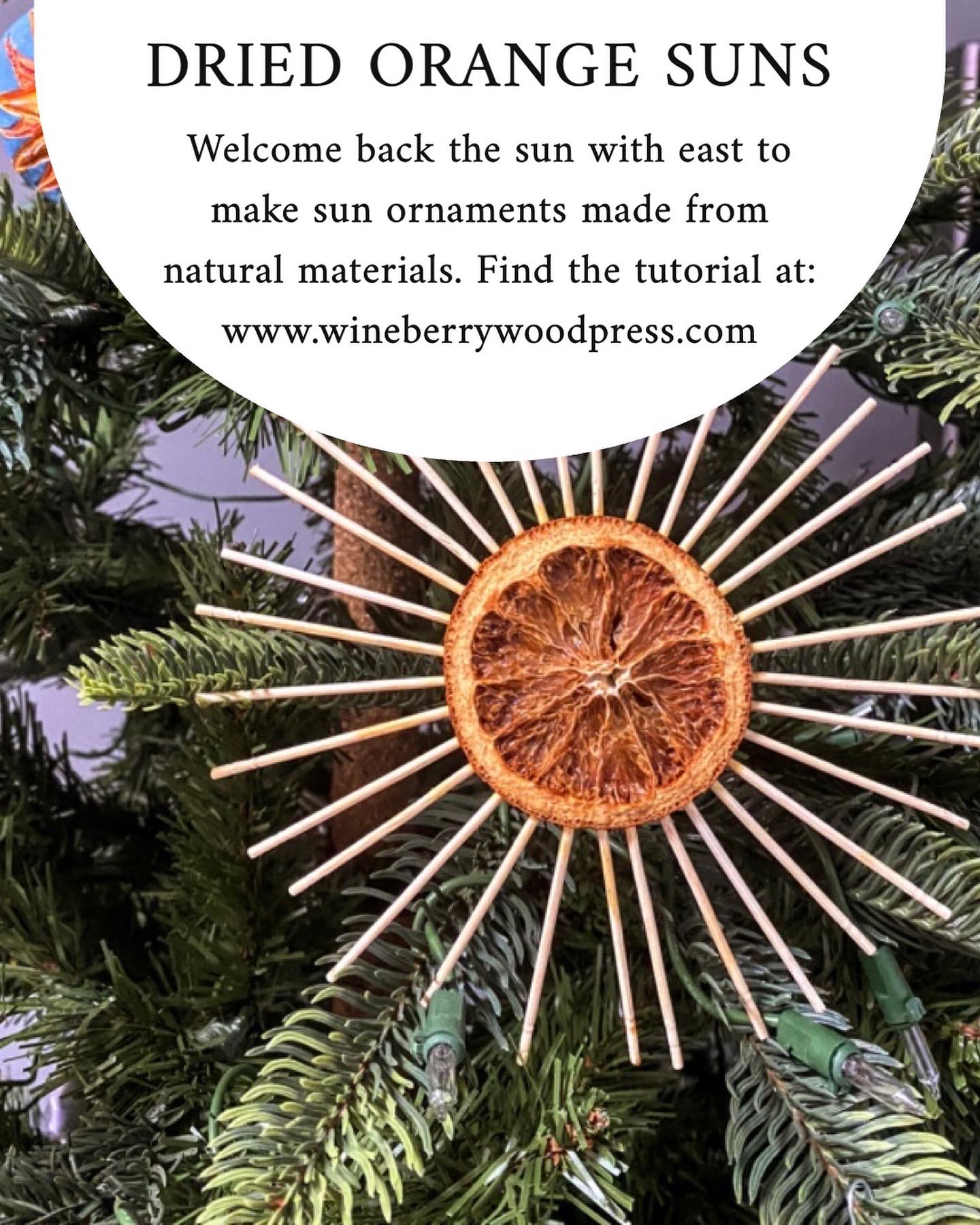 Winter Solstice Nature Activities for Kids – Wineberry Wood Press