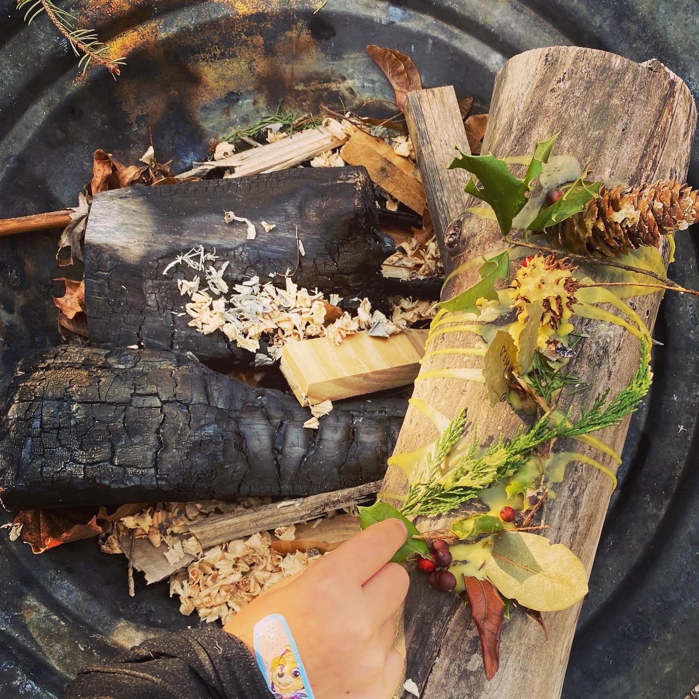 Yule Logs – Phlox Architect