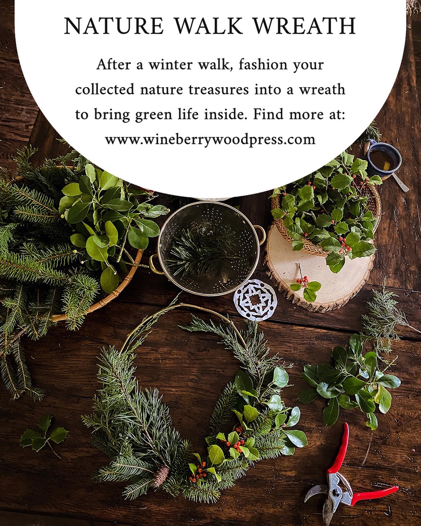 Winter Solstice Nature Activities for Kids – Wineberry Wood Press