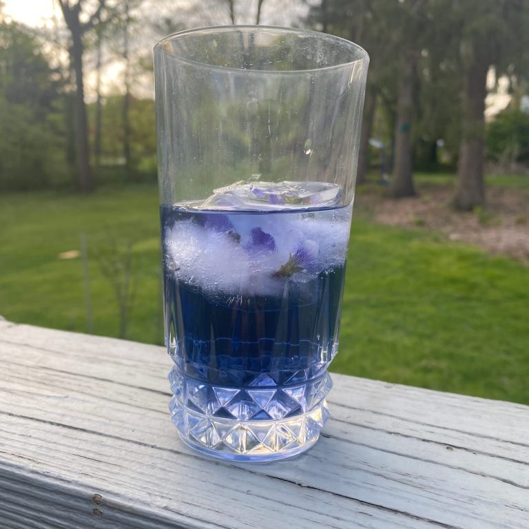 Magical Color Changing Violet Lemonade – Wineberry Woods