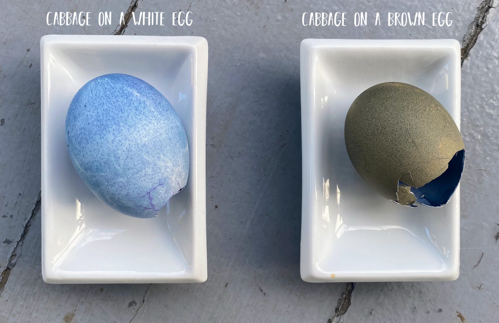 Dying Eggs with Natural Materials – Wineberry Woods