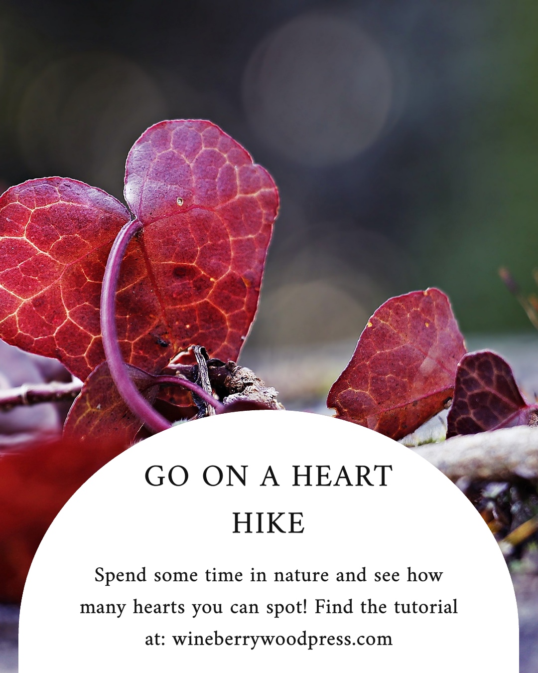 Celebrating Valentine’s Day in Nature with Children! – Wineberry Wood Press