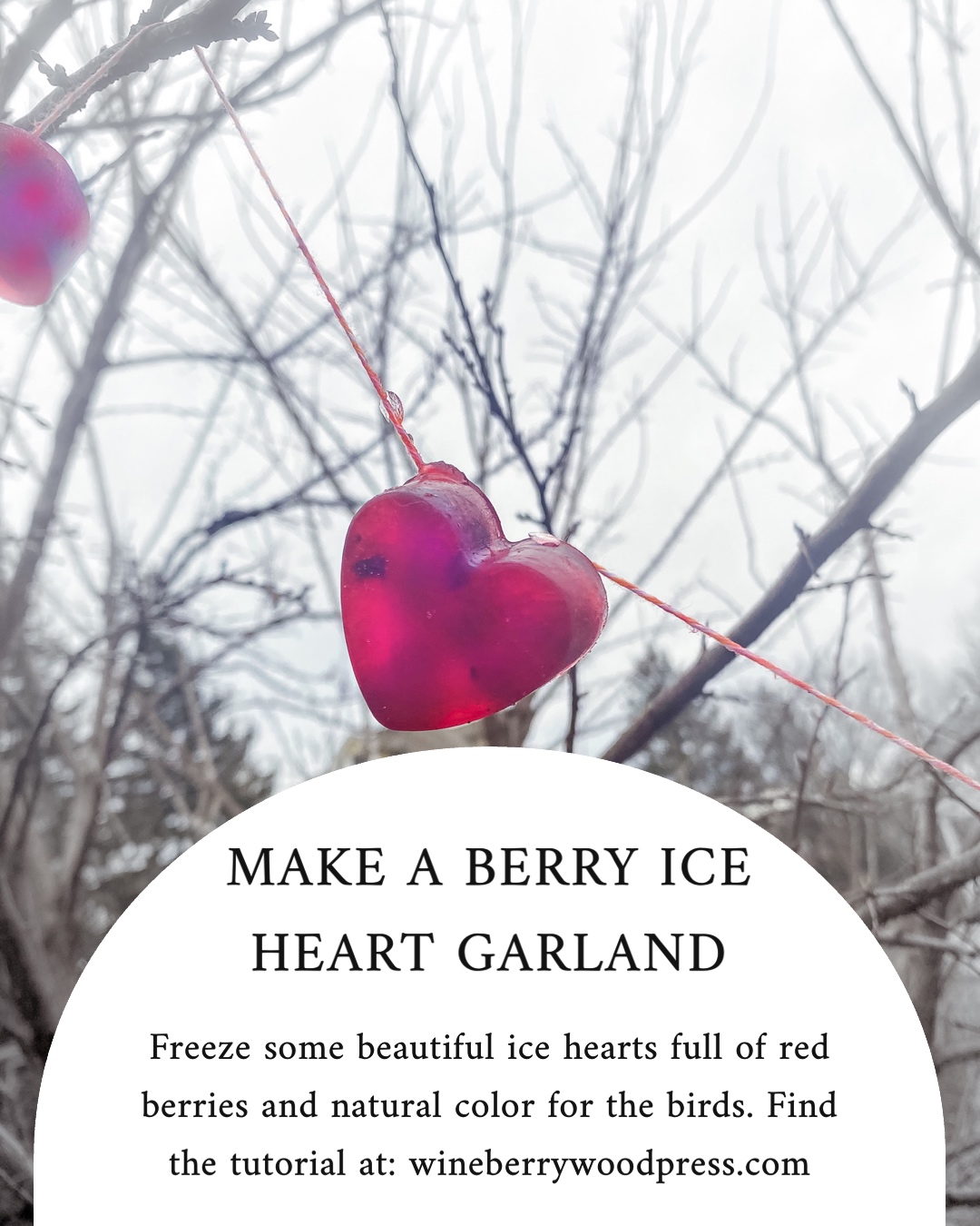 Celebrating Valentine’s Day in Nature with Children! – Wineberry Wood Press