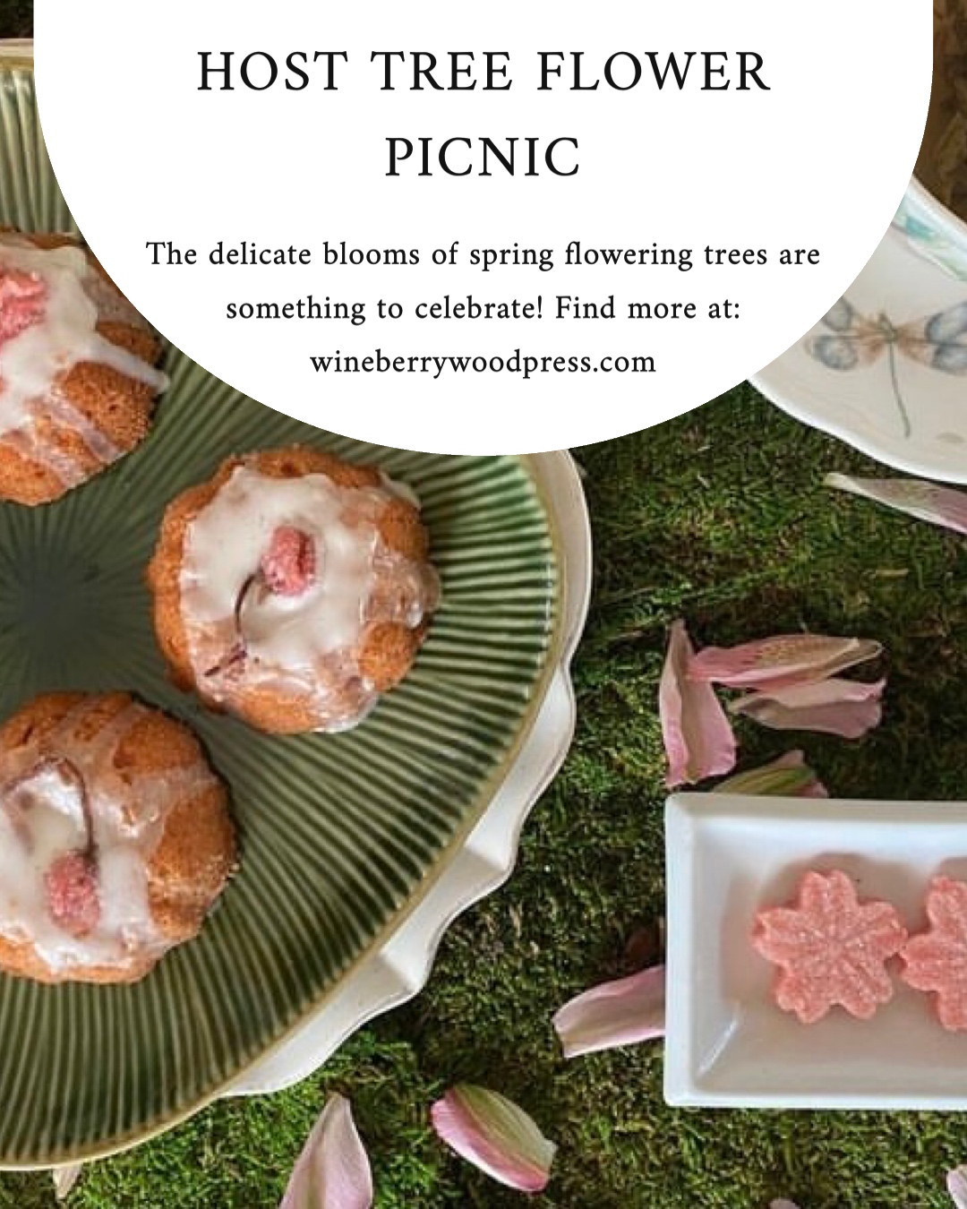 Celebrating Spring Equinox in Nature with Children – Wineberry Wood Press