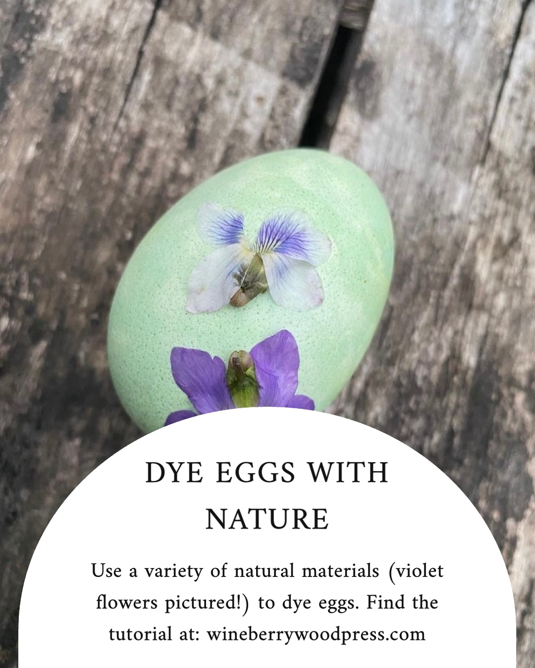 Celebrating Spring Equinox in Nature with Children – Wineberry Wood Press