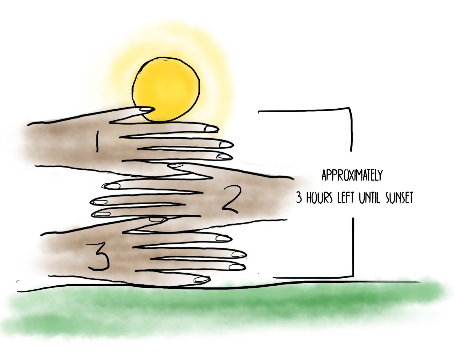 Telling Time with the Sun – Phlox Architect