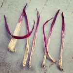 Pokeberry Ink – Wineberry Woods