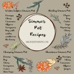 Solstice Simmer Pots & a Gift Idea – Wineberry Woods