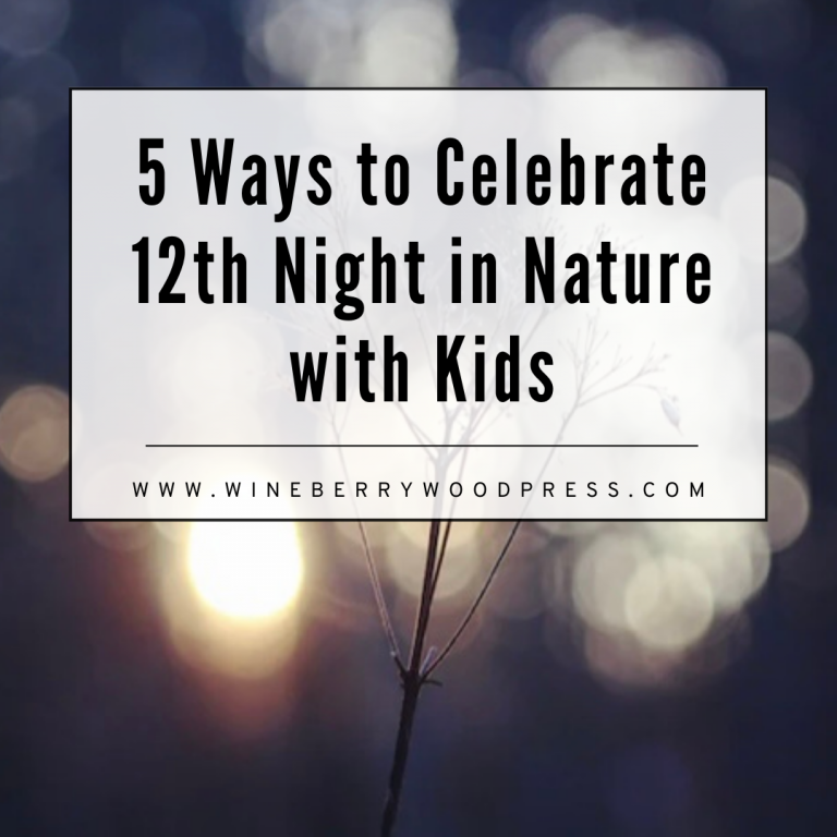 Fun Nature-y Ways to Celebrate 12th Night with Kids – Wineberry Woods