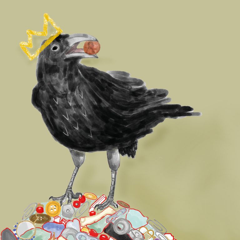 The Crow King – Wineberry Woods