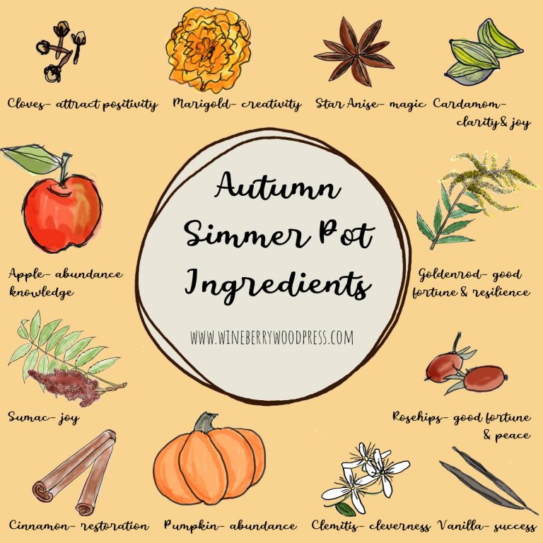 Autumn Simmer Pots – Wineberry Woods