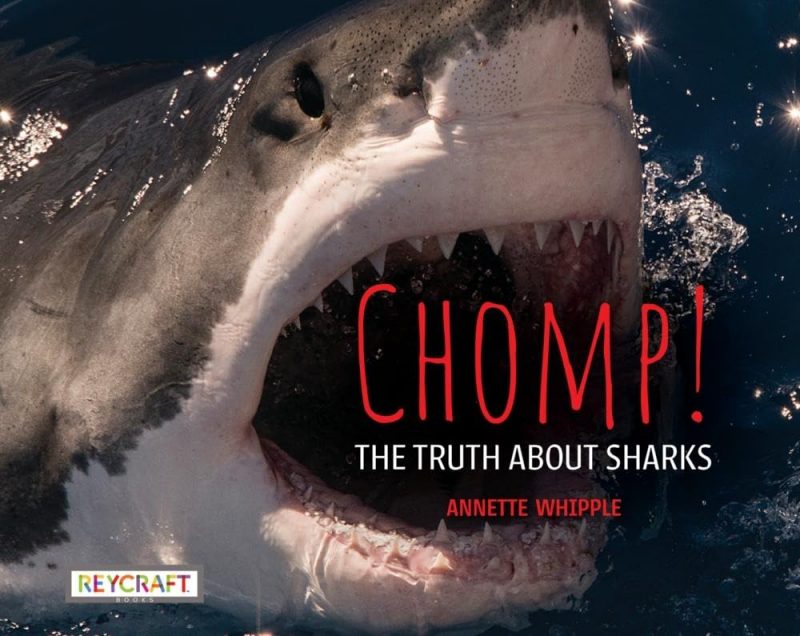 “Chomp! The Truth About Sharks” – Wineberry Woods