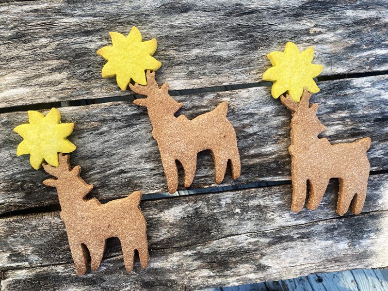 Deer Mother Winter Solstice Cookies – Wineberry Woods