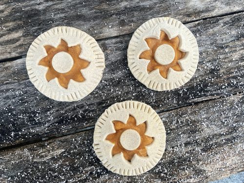 Sun Pop Tarts – Wineberry Woods